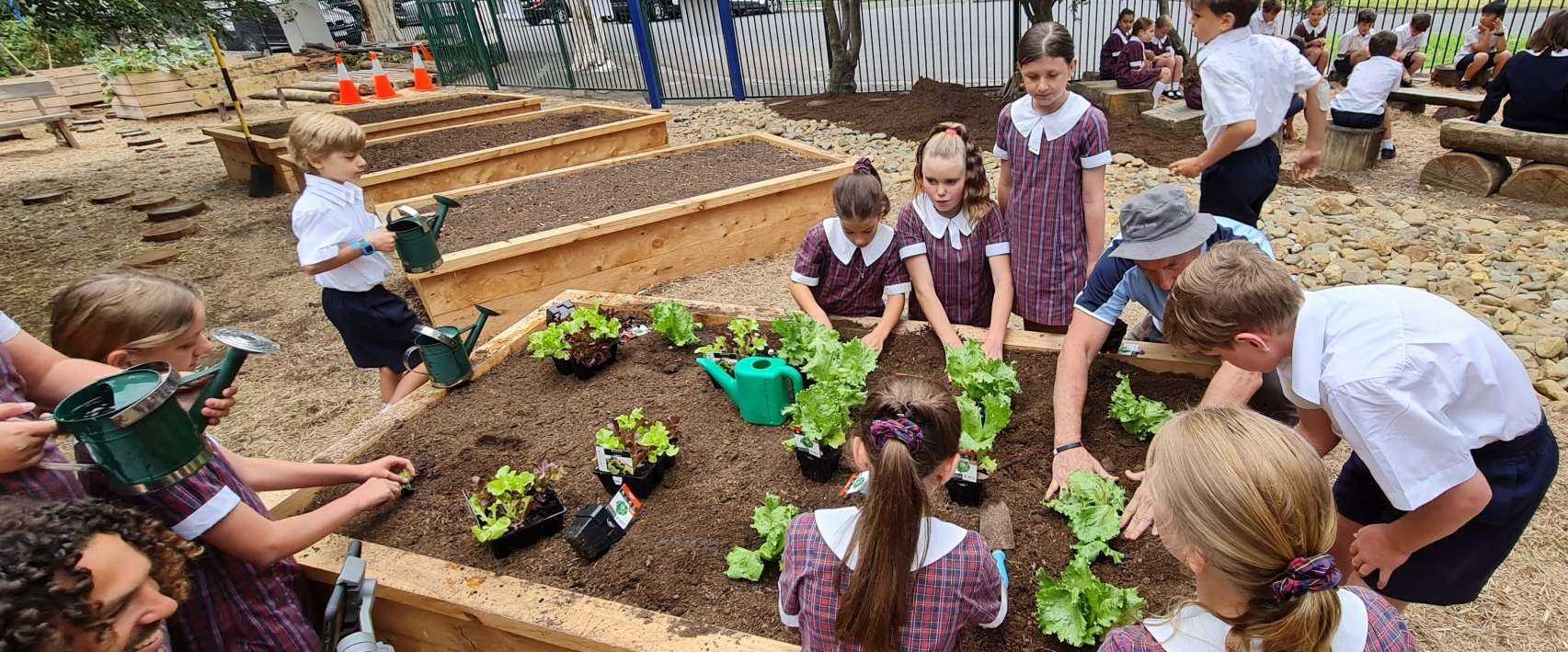 DNA College - DNA College